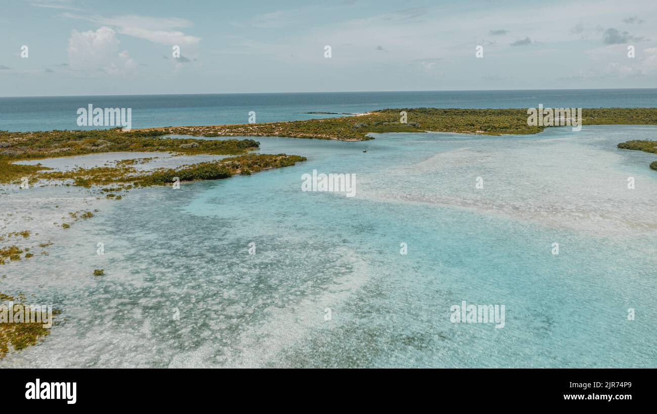 Aerial view of mangroves in the Bahamas Stock Photo - Alamy