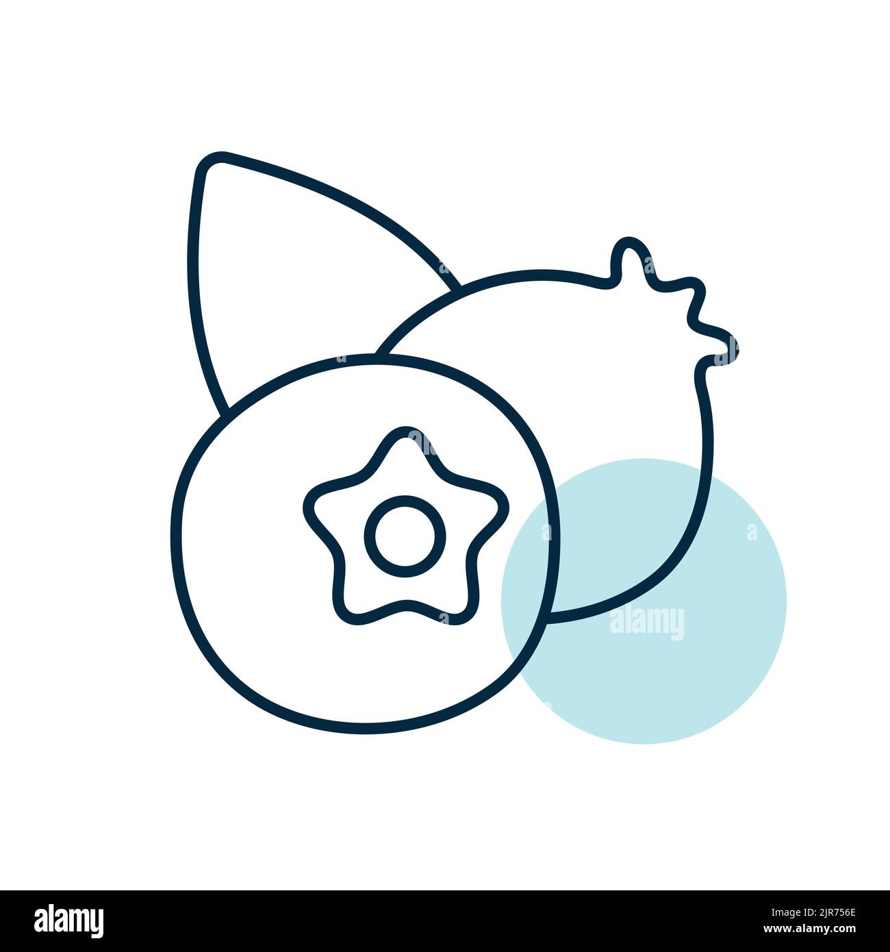 Forest berry sign. Blueberry vector icon. Graph symbol for food and ...