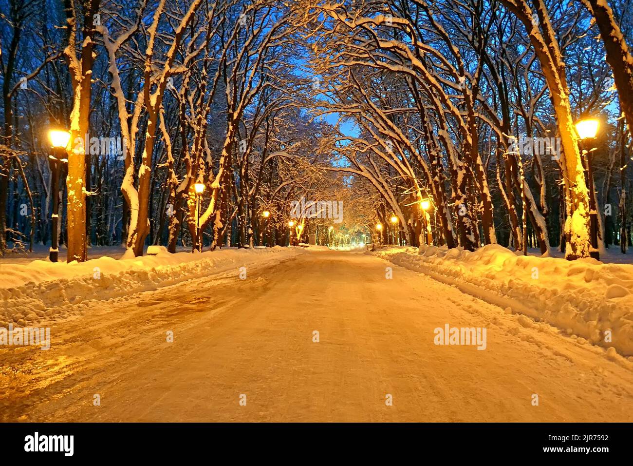 night illumination on the winter alley with white snow, power diversity ...