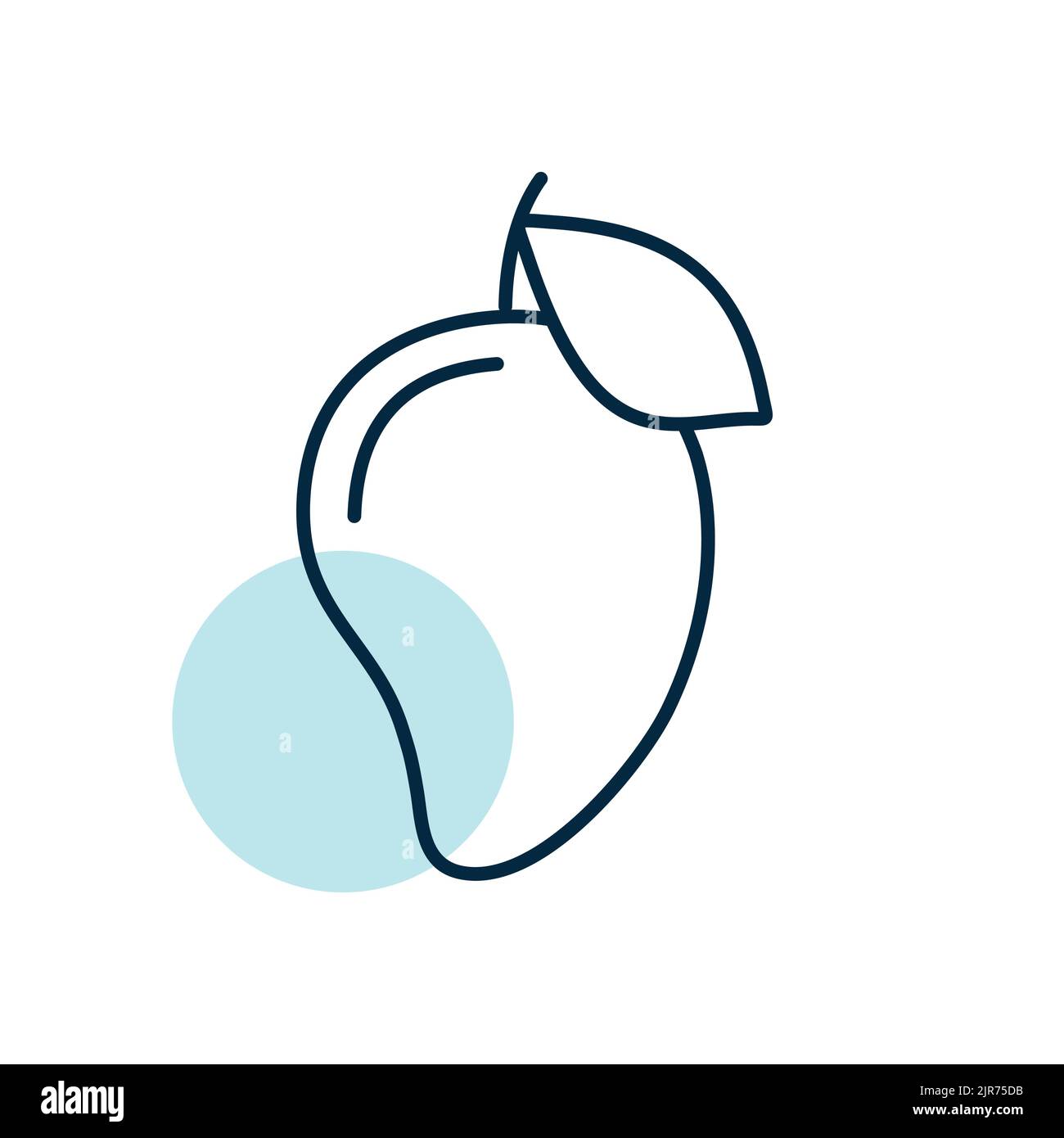 Mango tropical fruit vector icon. Graph symbol for food and drinks web ...