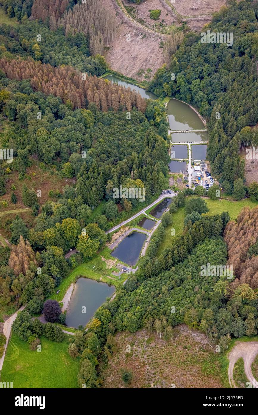 Fish ponds fishing paradise steinbachtal in breckerfeld hi-res stock ...