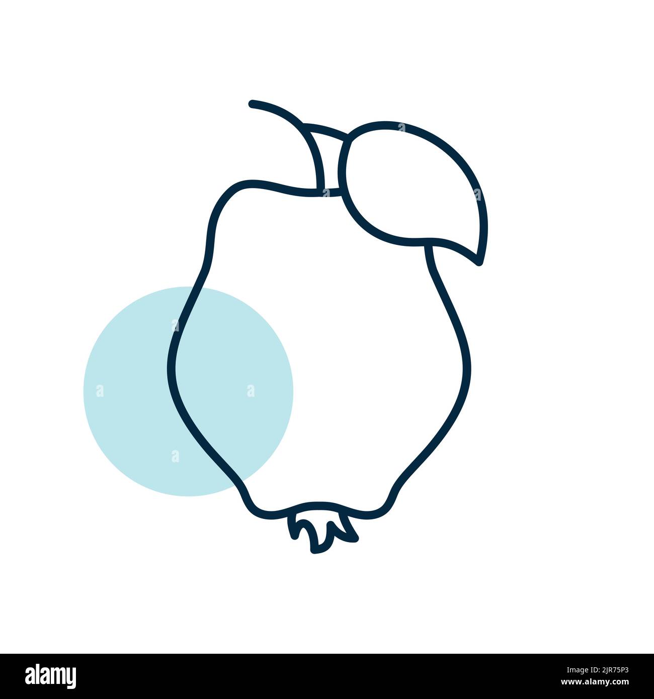 Quince vector icon. Graph symbol for food and drinks web site, apps ...