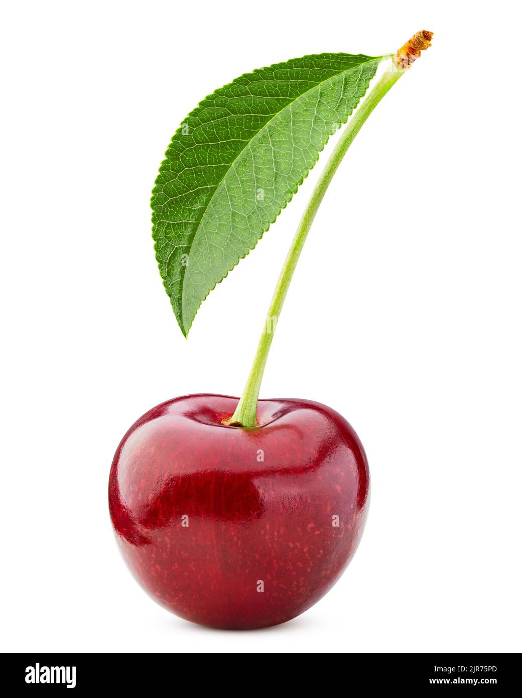 cherry isolated on white background, full depth of field, clipping path ...