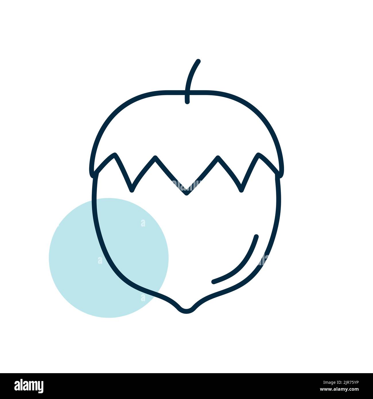 Hazelnut vector icon. Graph symbol for food and drinks web site, apps ...