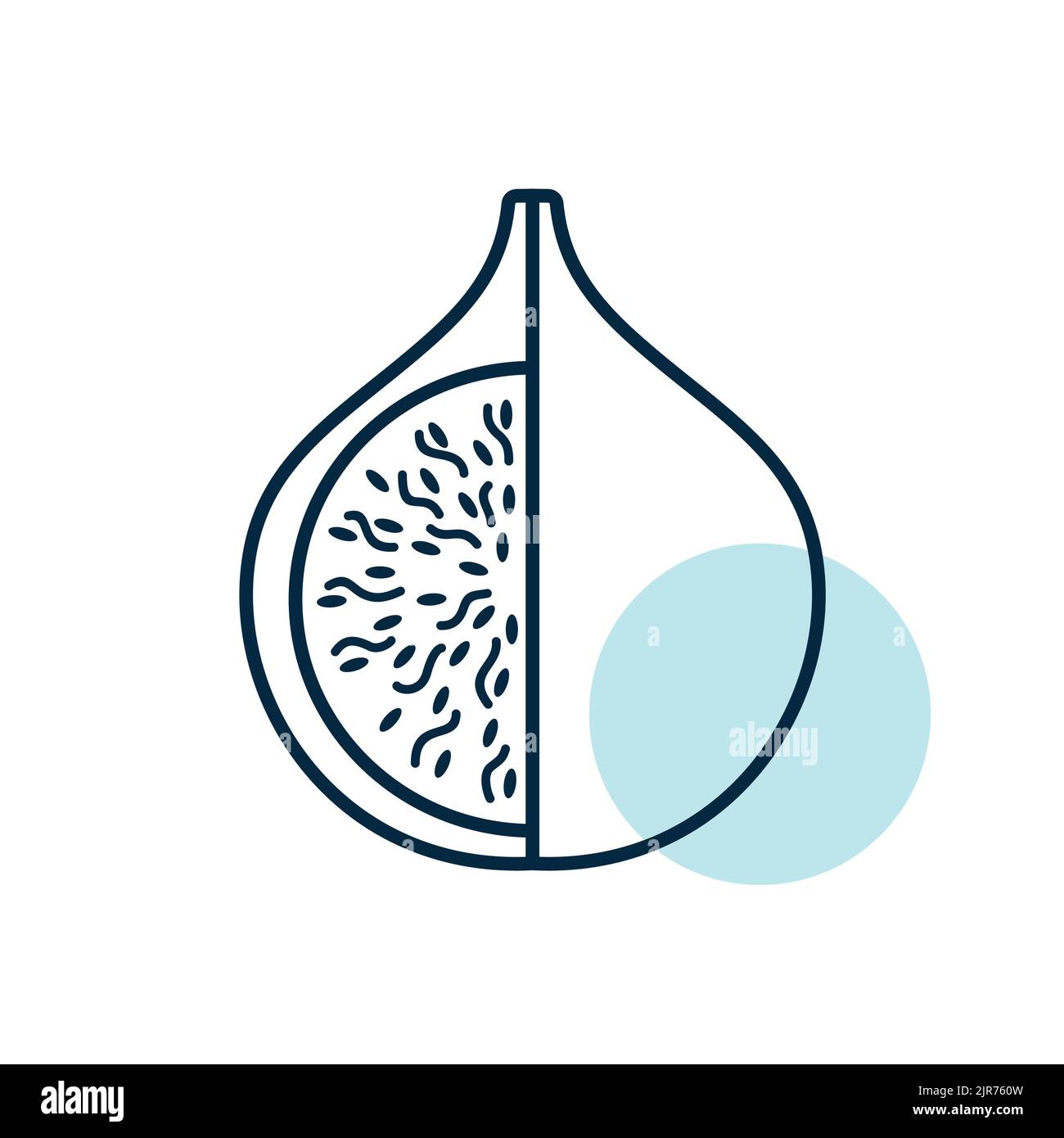 Fig tropical fruit vector icon. Graph symbol for food and drinks web ...