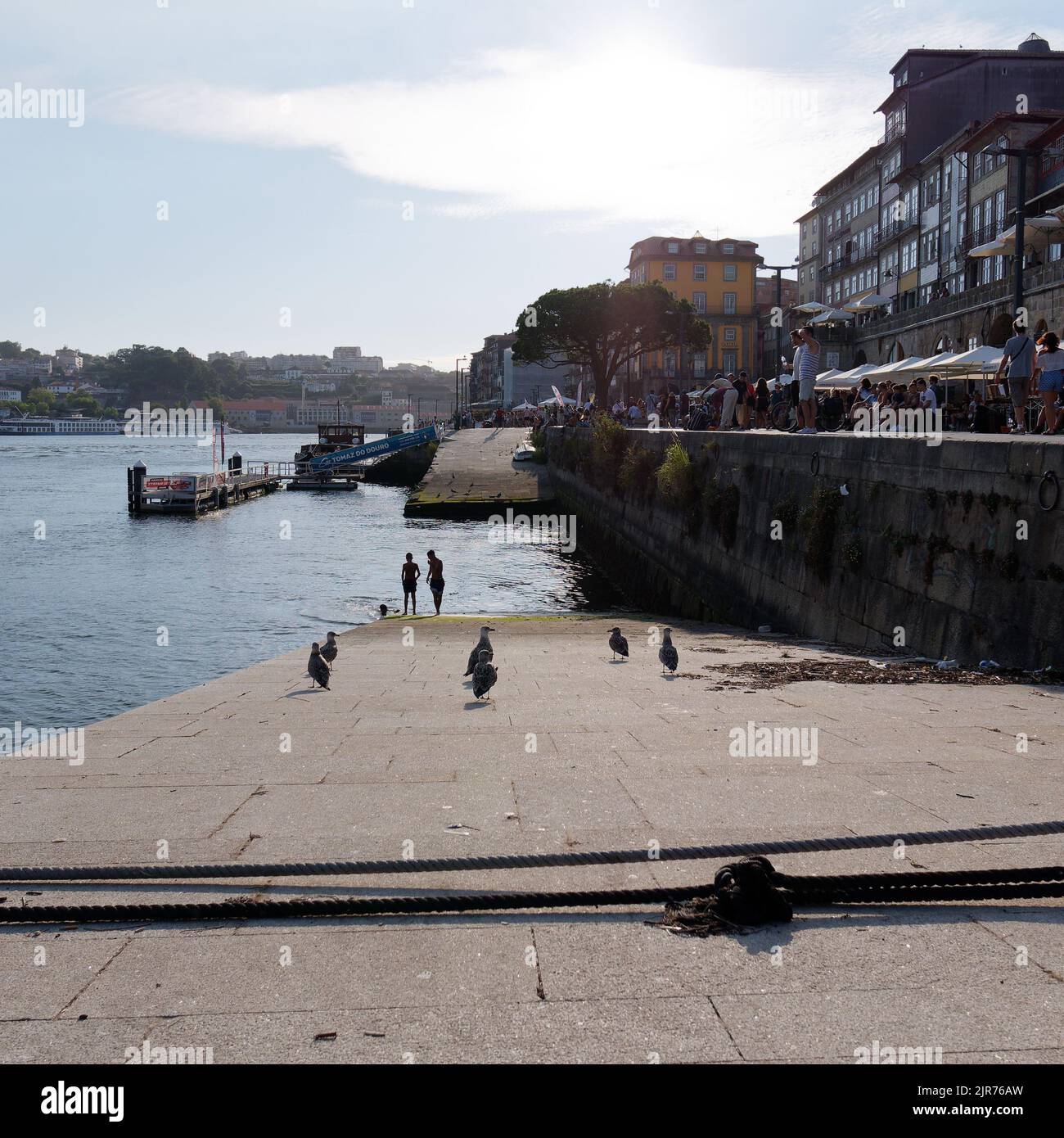 Ribeira riverside district in Porto Portugal with a people and pigeons ...