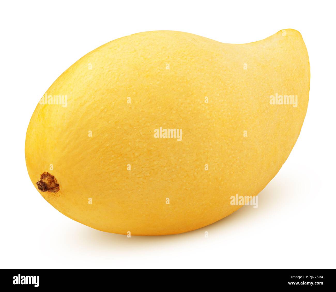 yellow mango isolated on white background, clipping path, full depth of ...