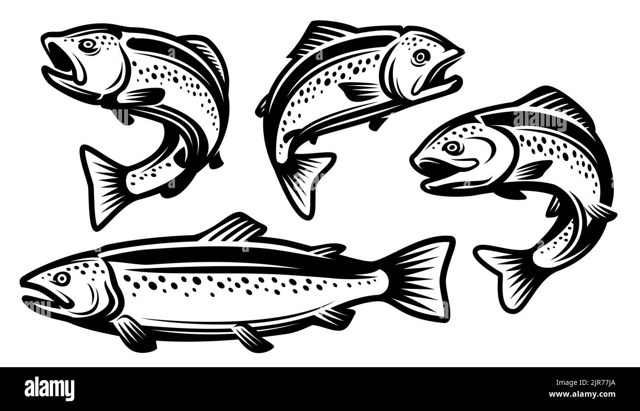 Trout fish set. Fishing, seafood symbol or logo. Vector illustration in ...
