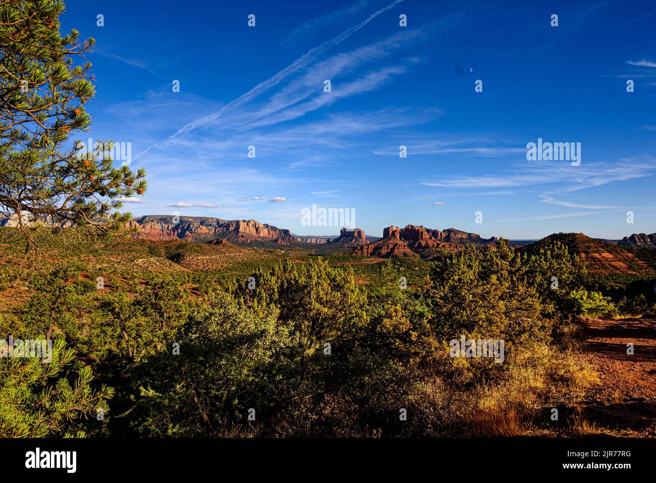 A landscape view of the cliffs and forests Stock Photo - Alamy