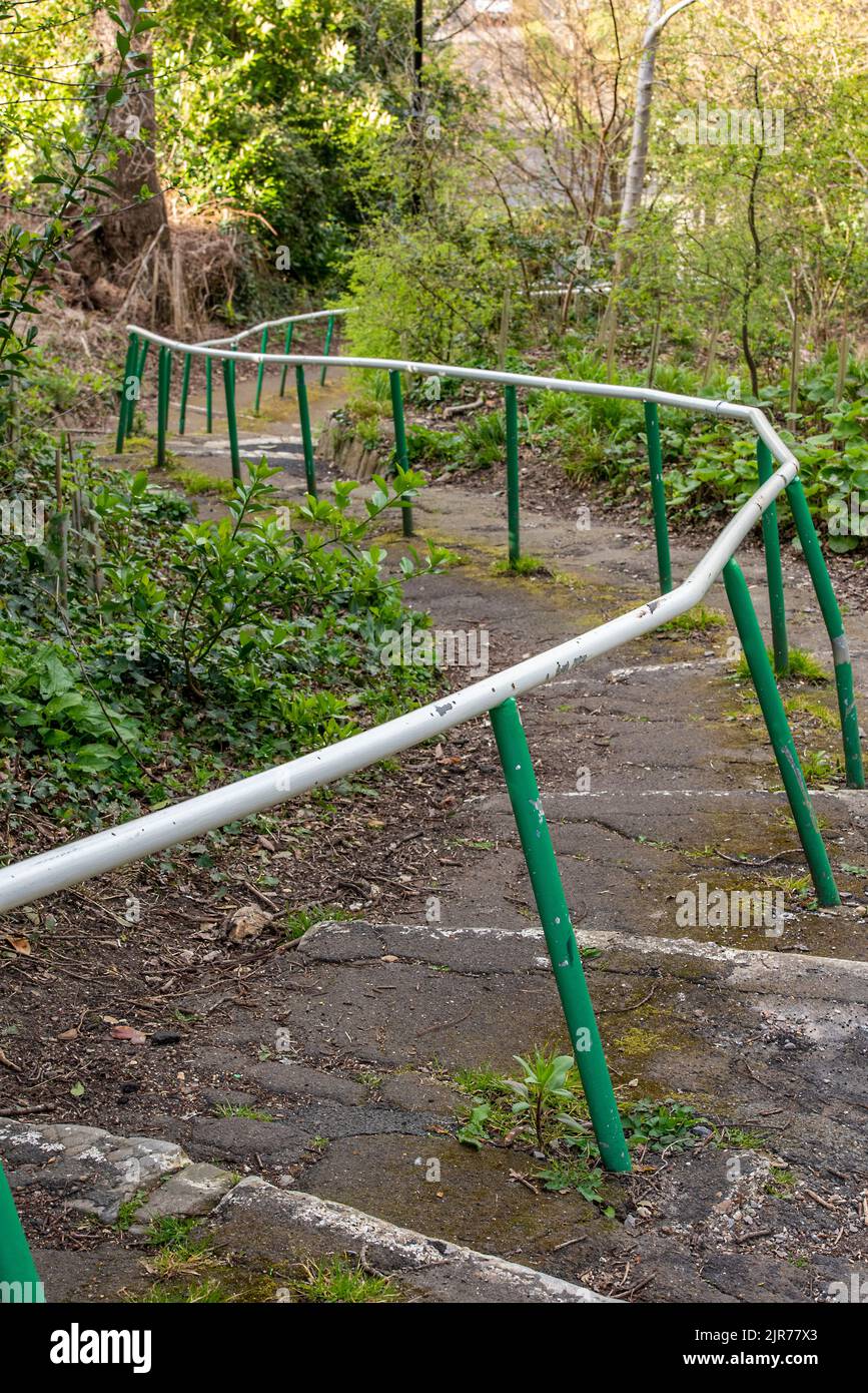 flight of stone steps through woodland winding pathway with old ...