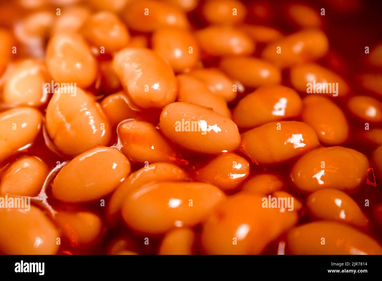 Meat sauce quick and easy hi-res stock photography and images - Alamy