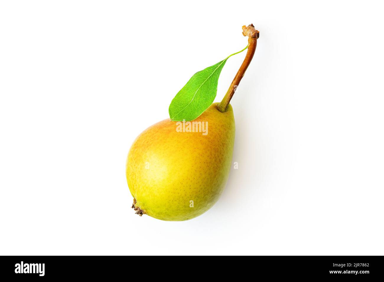 The fruit of a sweet and ripe pear with a stalk and a green leaf ...