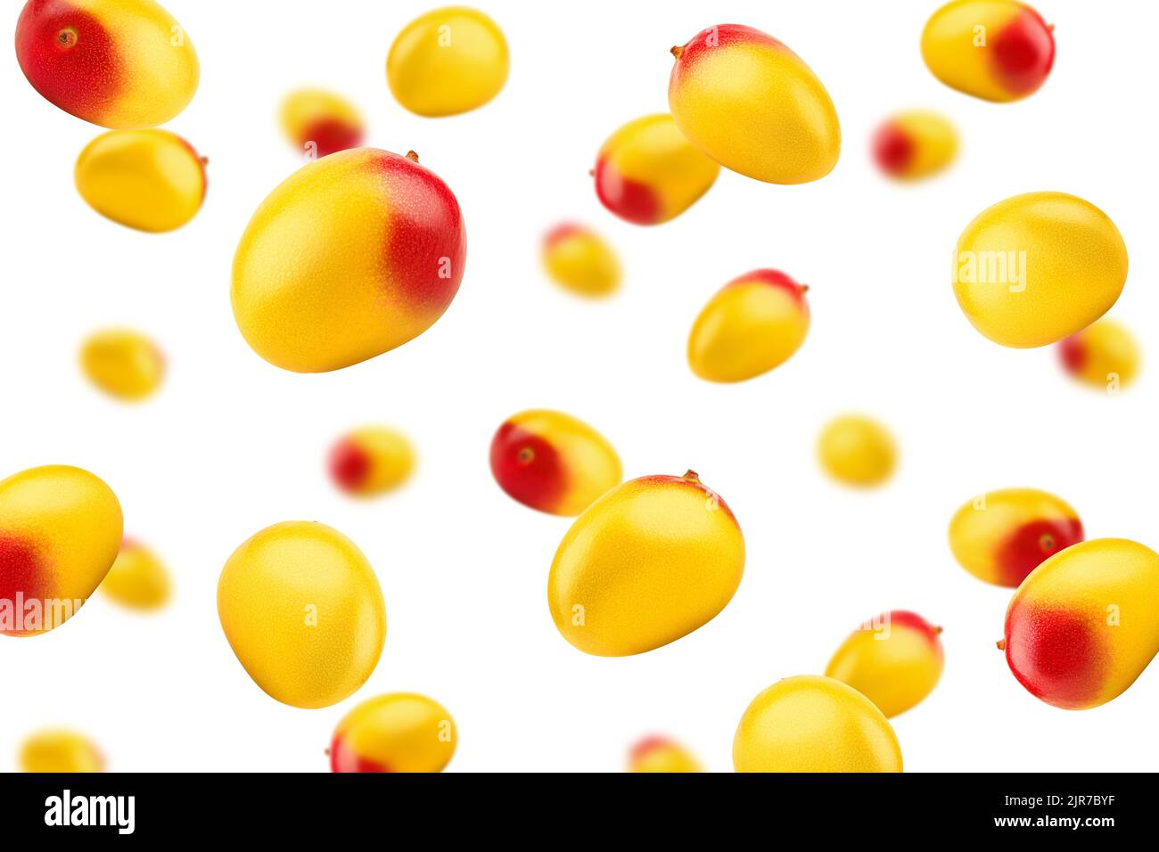 Falling mango isolated on white background, selective focus Stock Photo ...