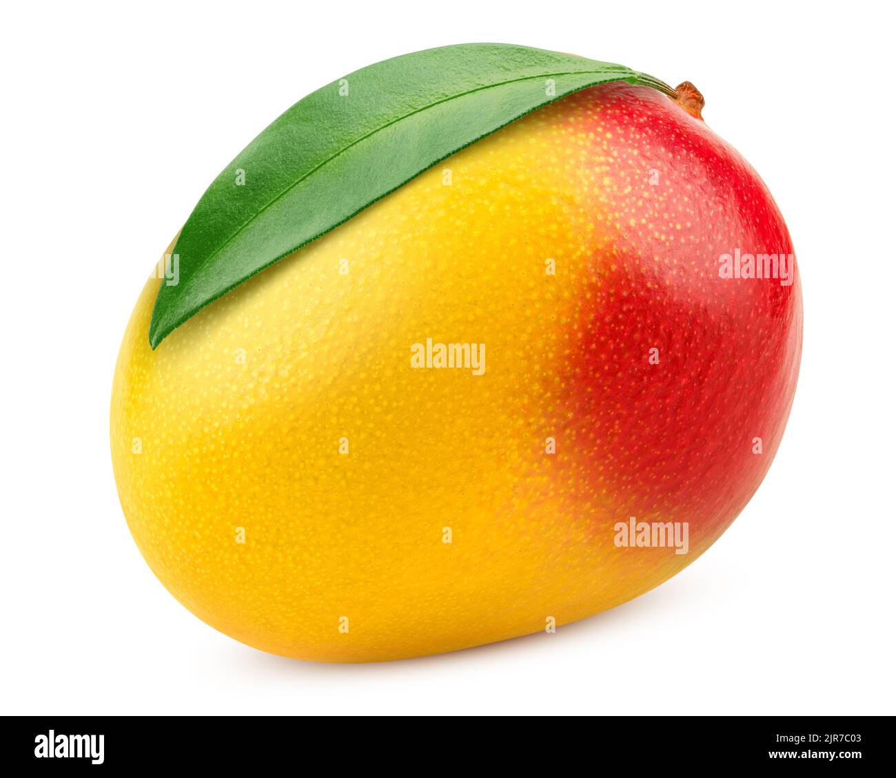 mango isolated on white background, clipping path, full depth of field ...