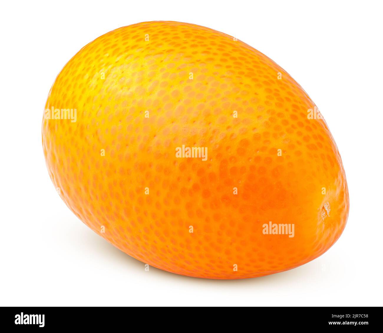 kumquat isolated on white background, clipping path, full depth of ...