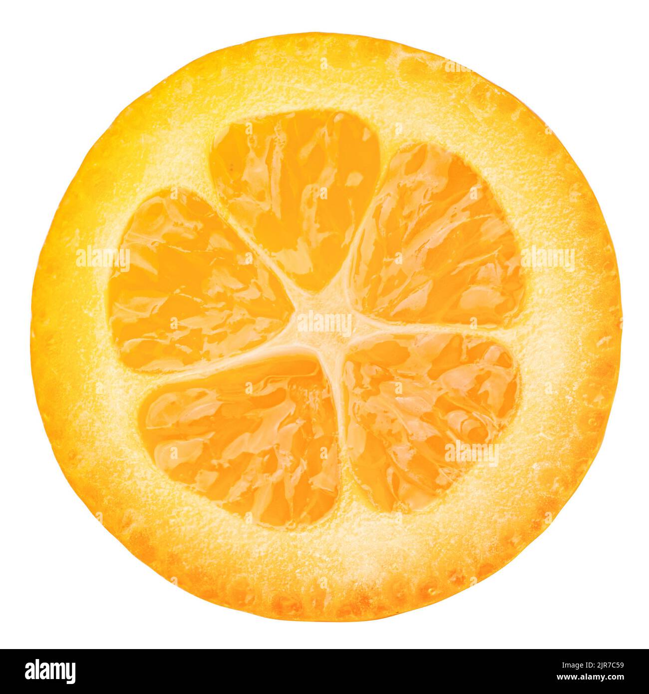 kumquat slice isolated on white background, clipping path, full depth ...