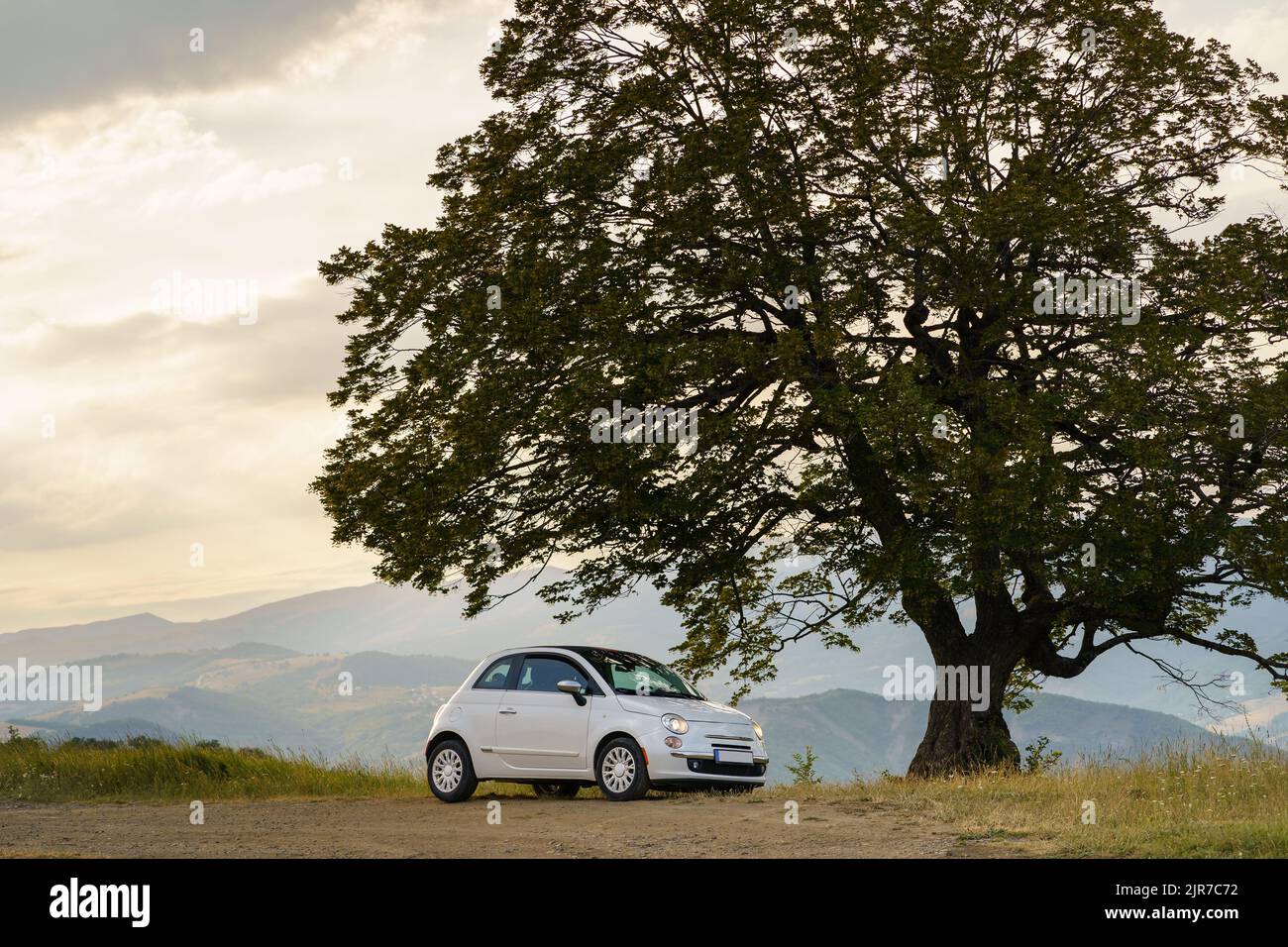 Car under tree hi-res stock photography and images - Alamy