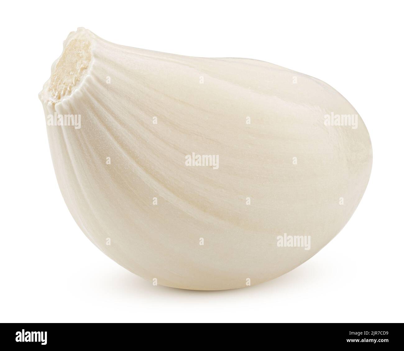 garlic, isolated on white background, clipping path, full depth of ...