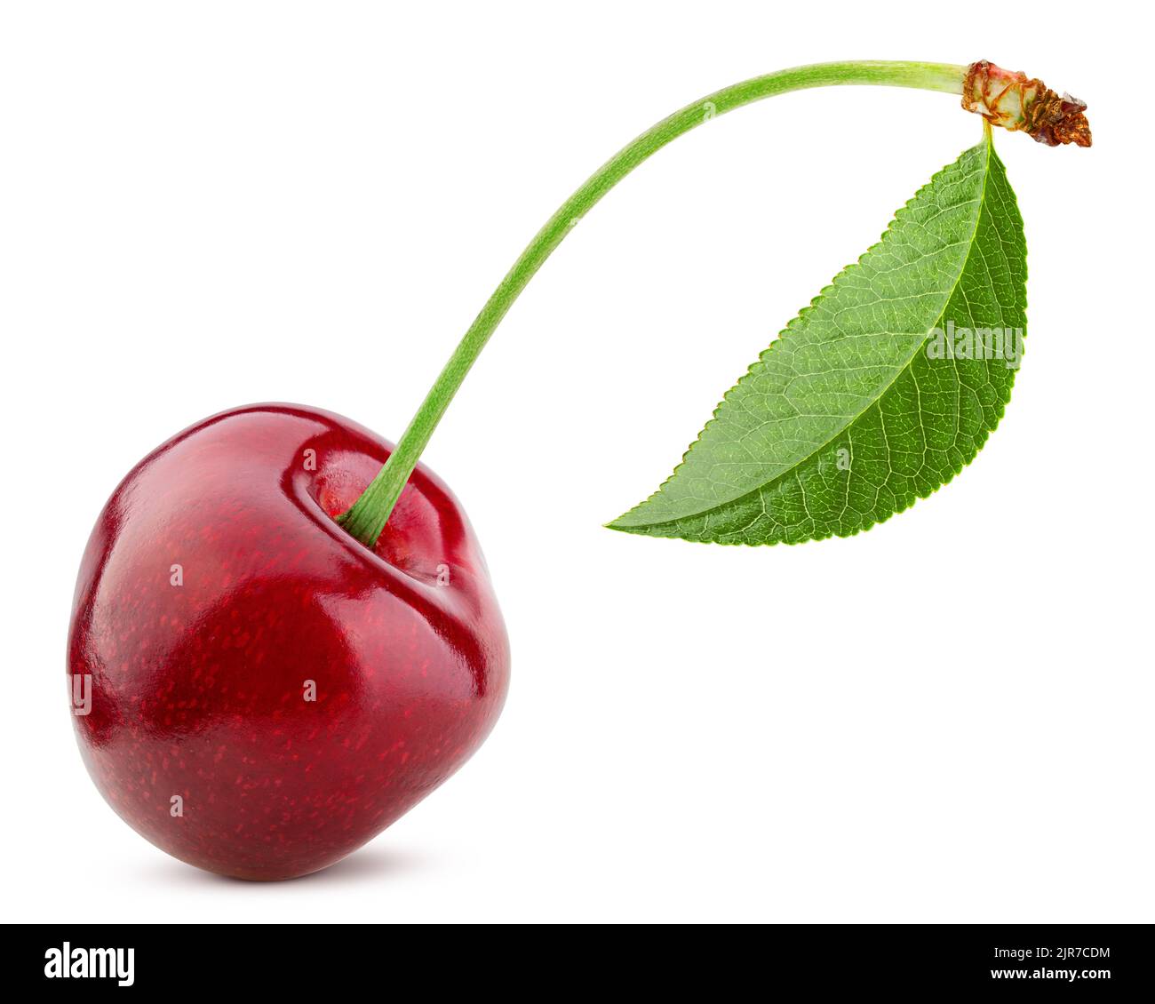 cherry isolated on white background, full depth of field, clipping path ...