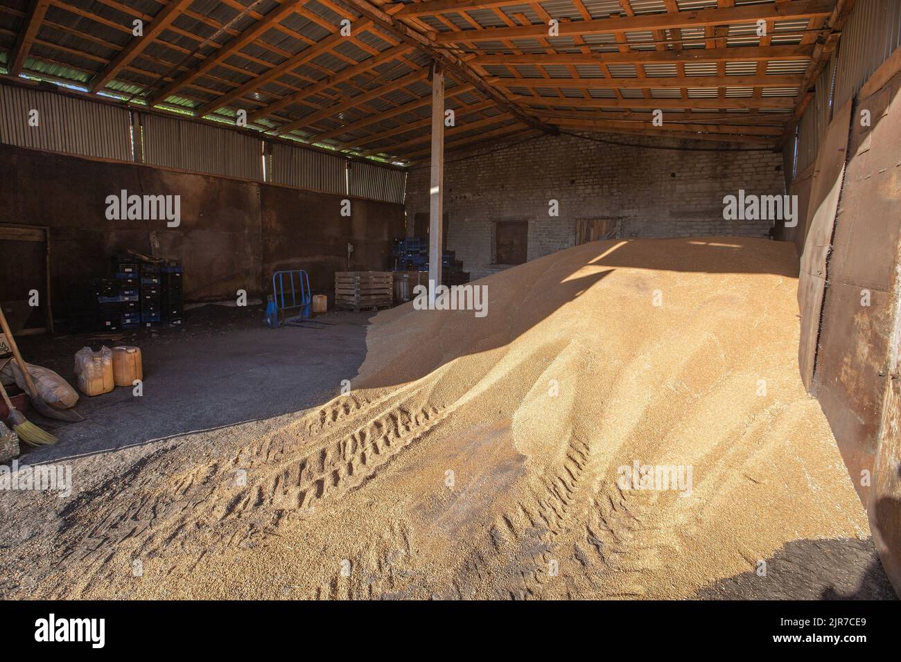 Wheat grain storage in the small warehouse Stock Photo - Alamy