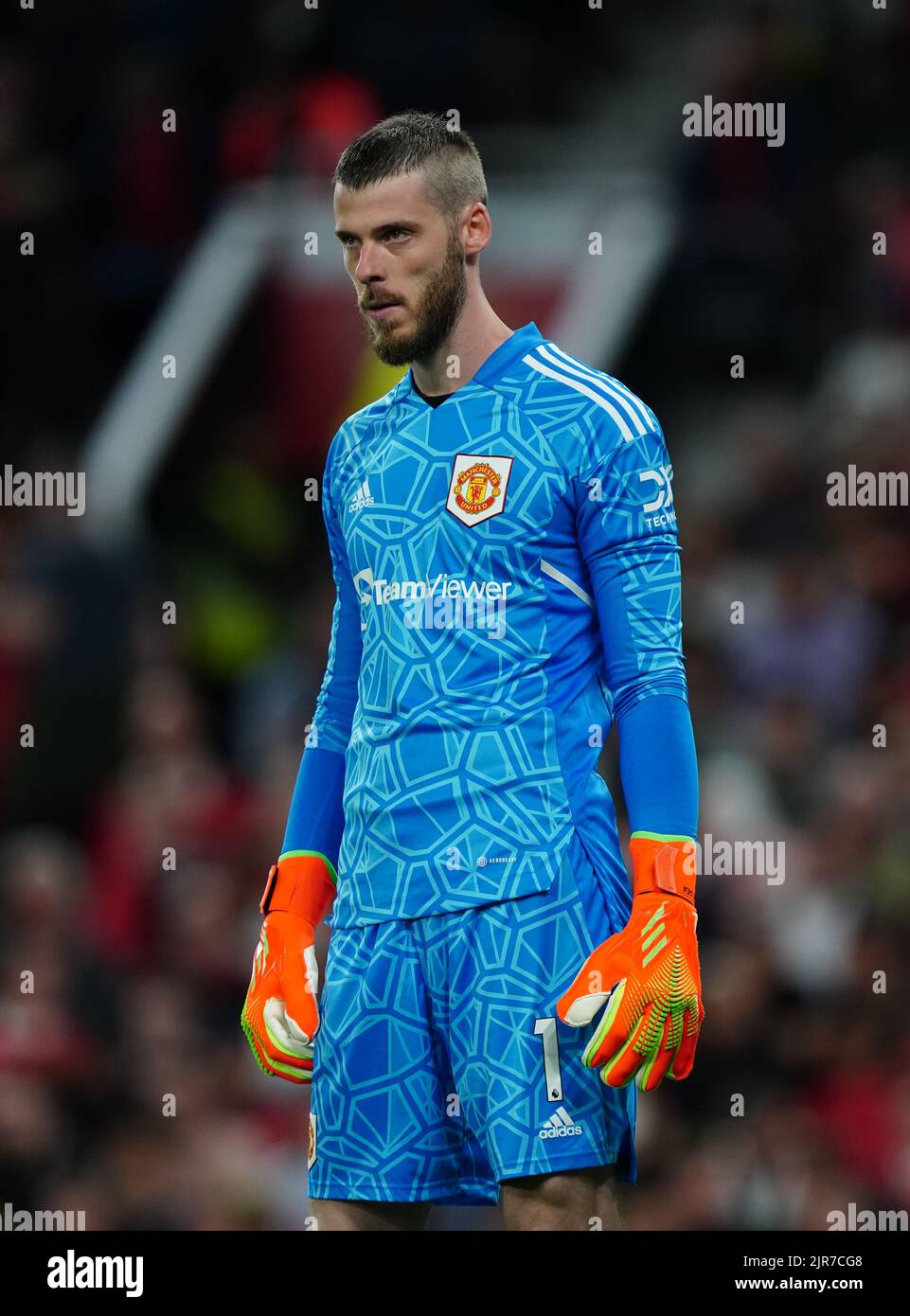 Manchester United goalkeeper David de Gea during the Premier League ...