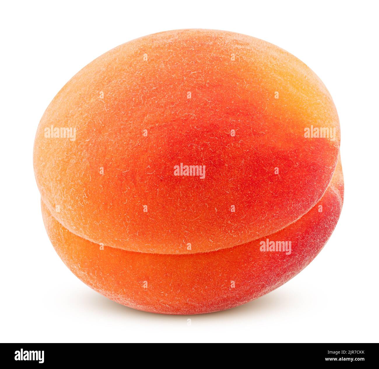 apricot isolated on white background, clipping path, full depth of ...