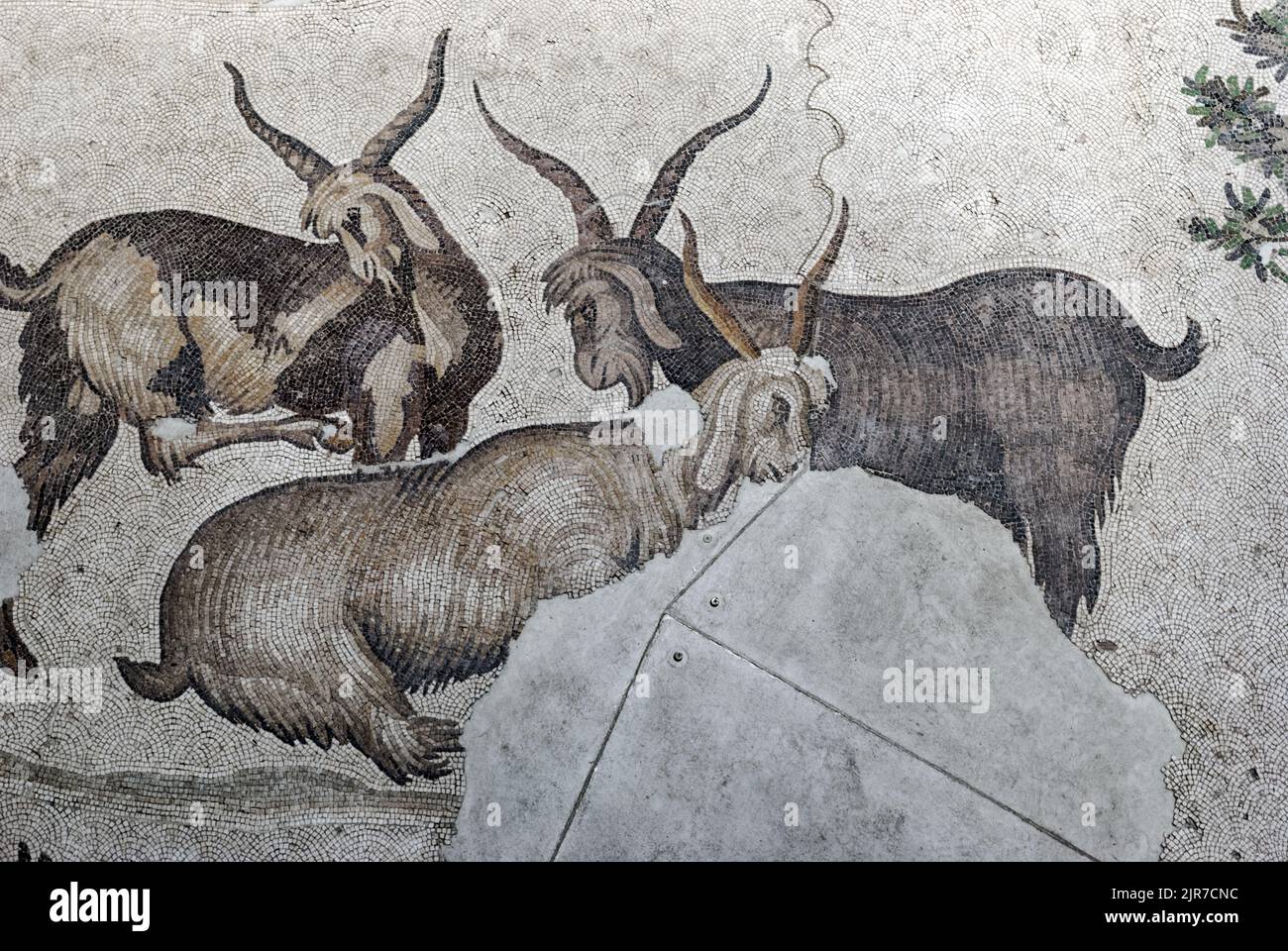 Fragments of ancient mosaic excavated at the cloister in Eastern Roman ...