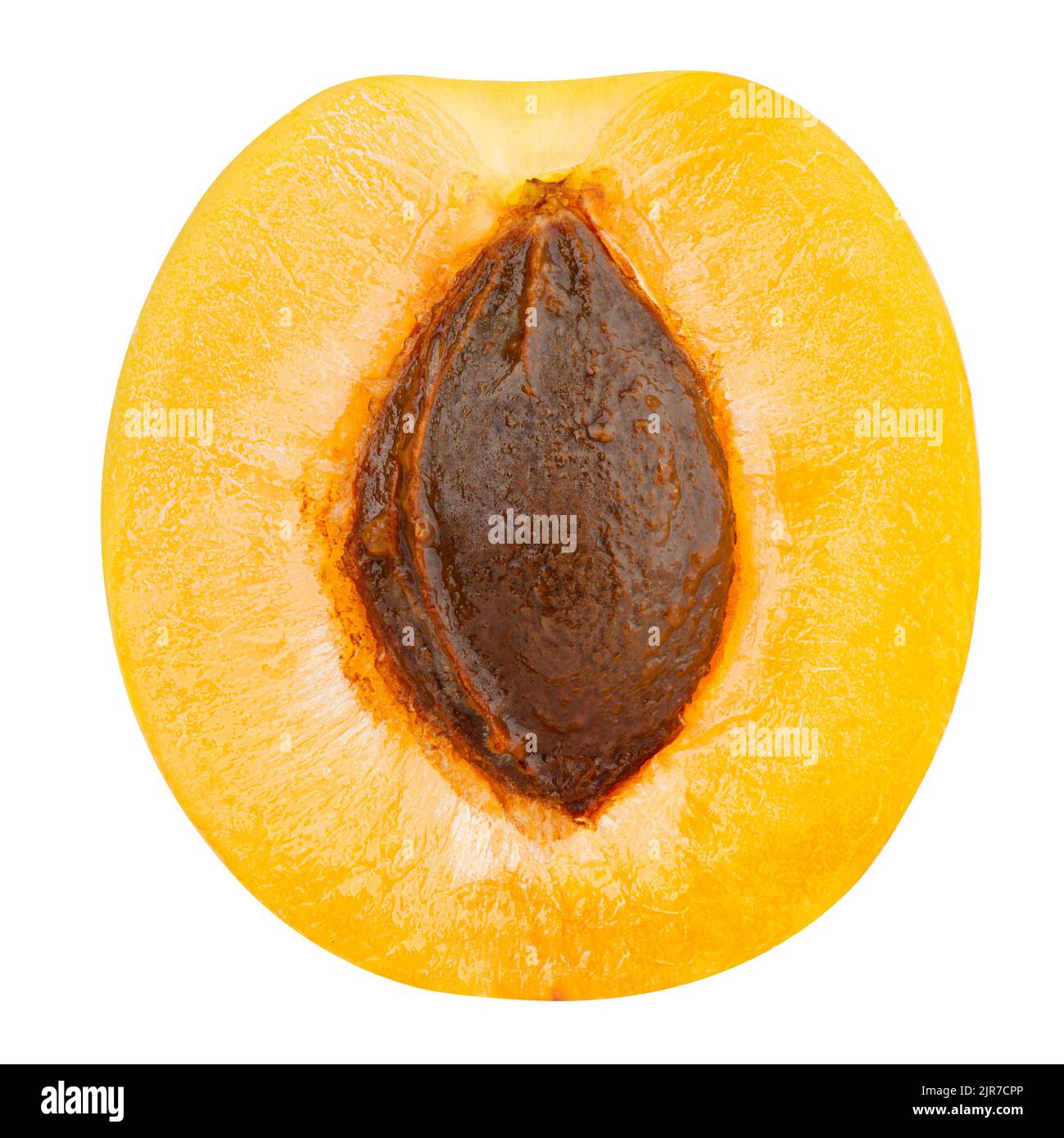 apricot isolated on white background, clipping path, full depth of ...