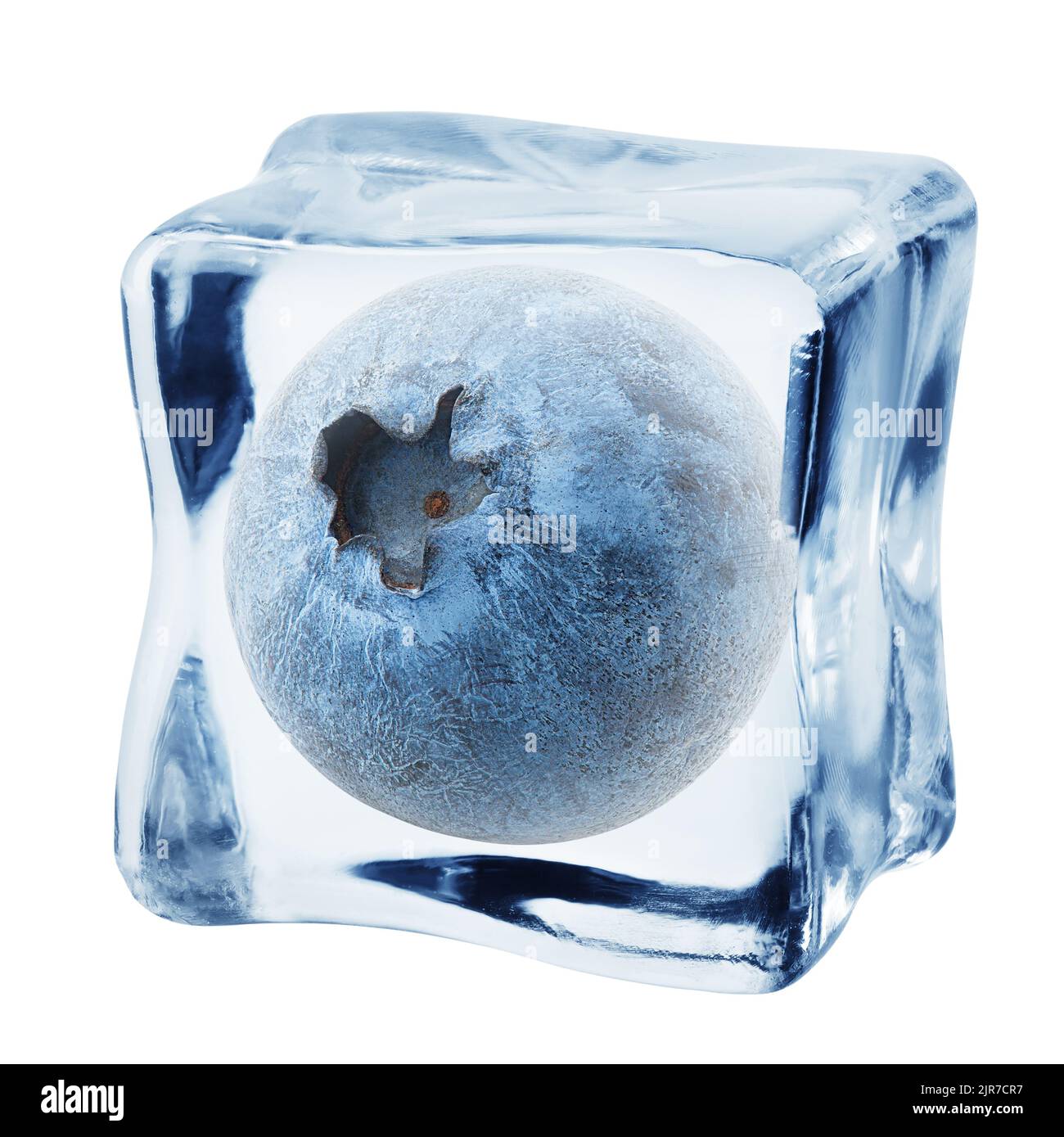 blueberry in ice cube, isolated on white background, clipping path ...