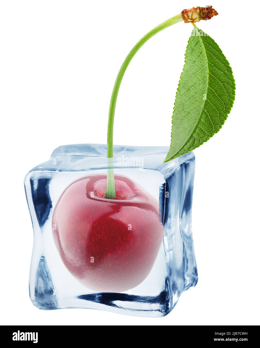 cherry in ice cube, isolated on white background, clipping path, full ...