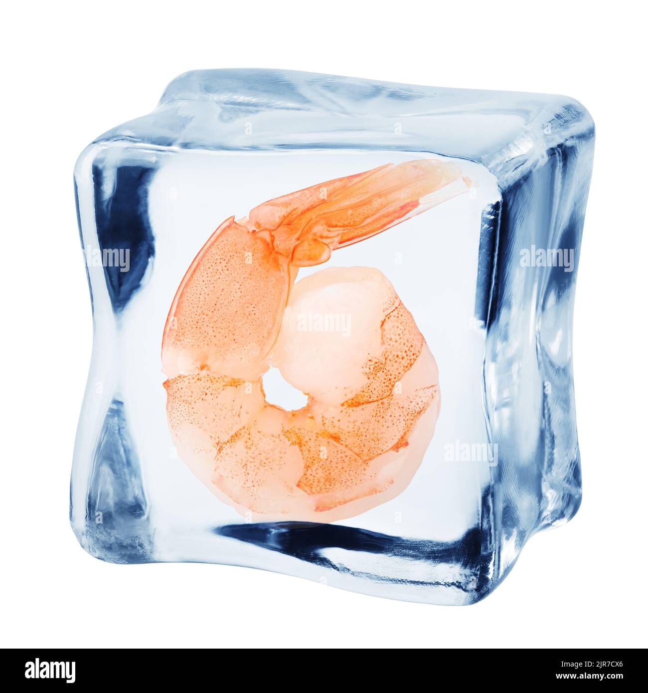shrimp in ice cube, isolated on white background, clipping path, full ...