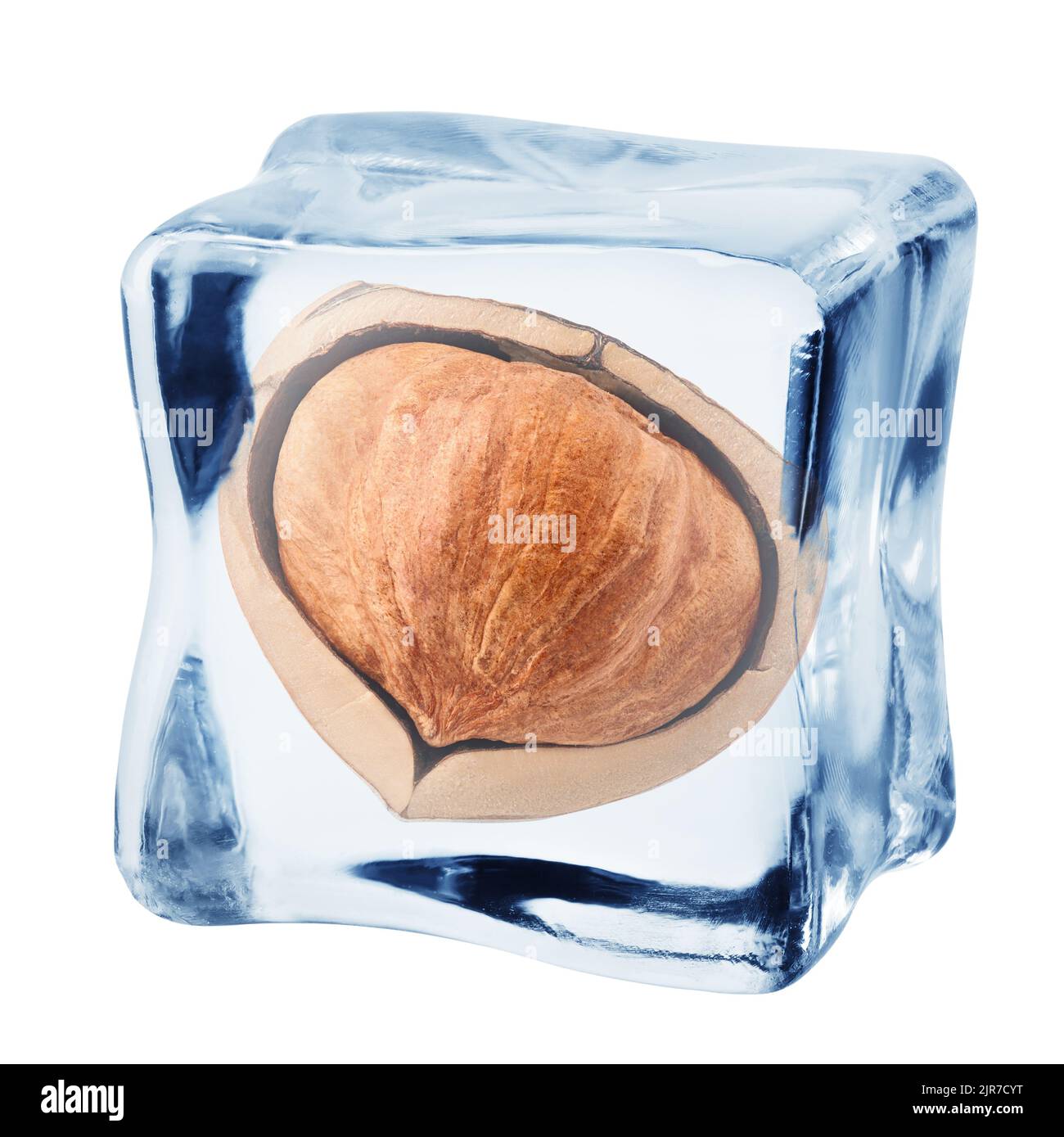 hazelnut nut in ice cube, isolated on white background, clipping path ...