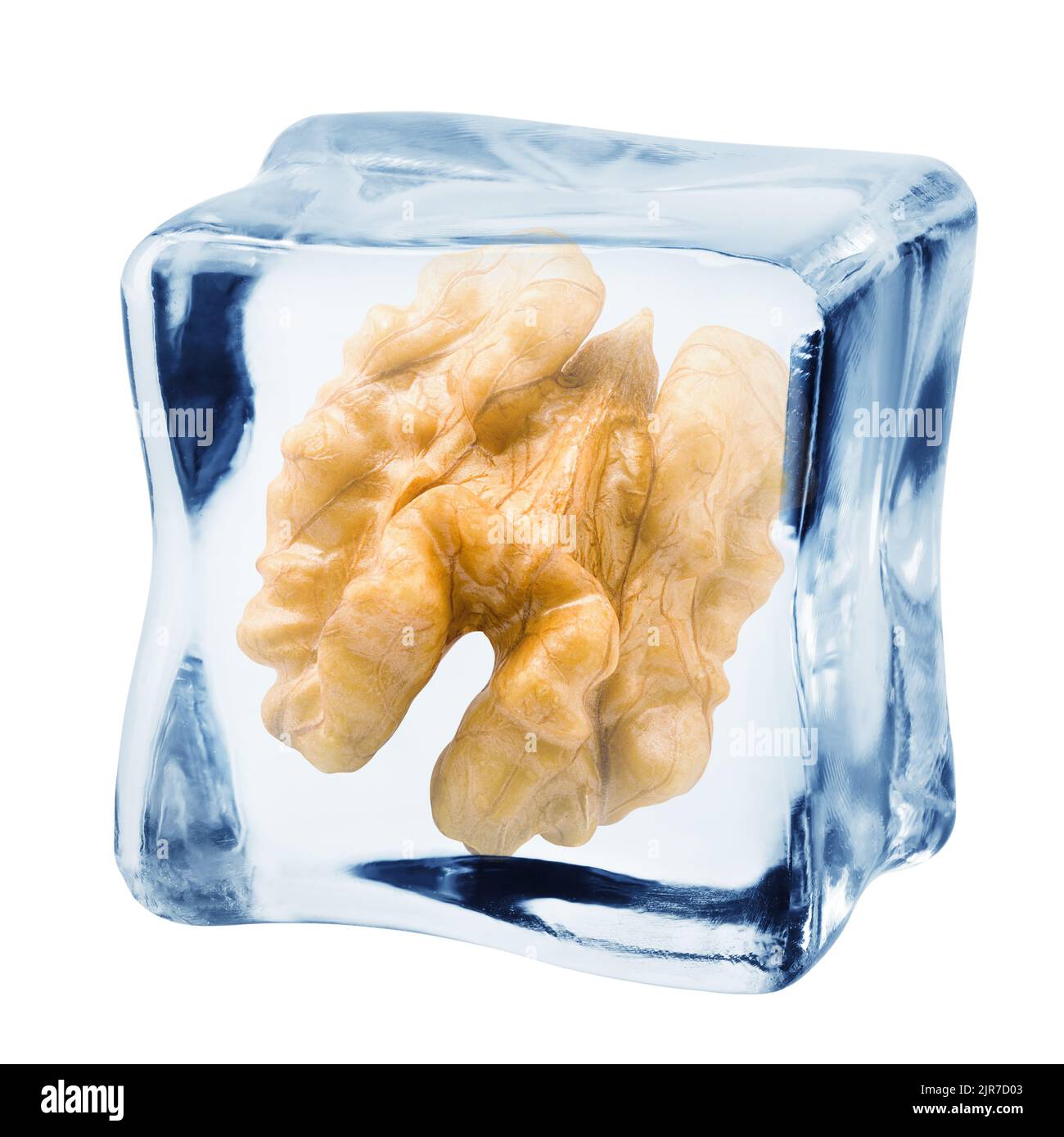 walnut nut in ice cube, isolated on white background, clipping path ...