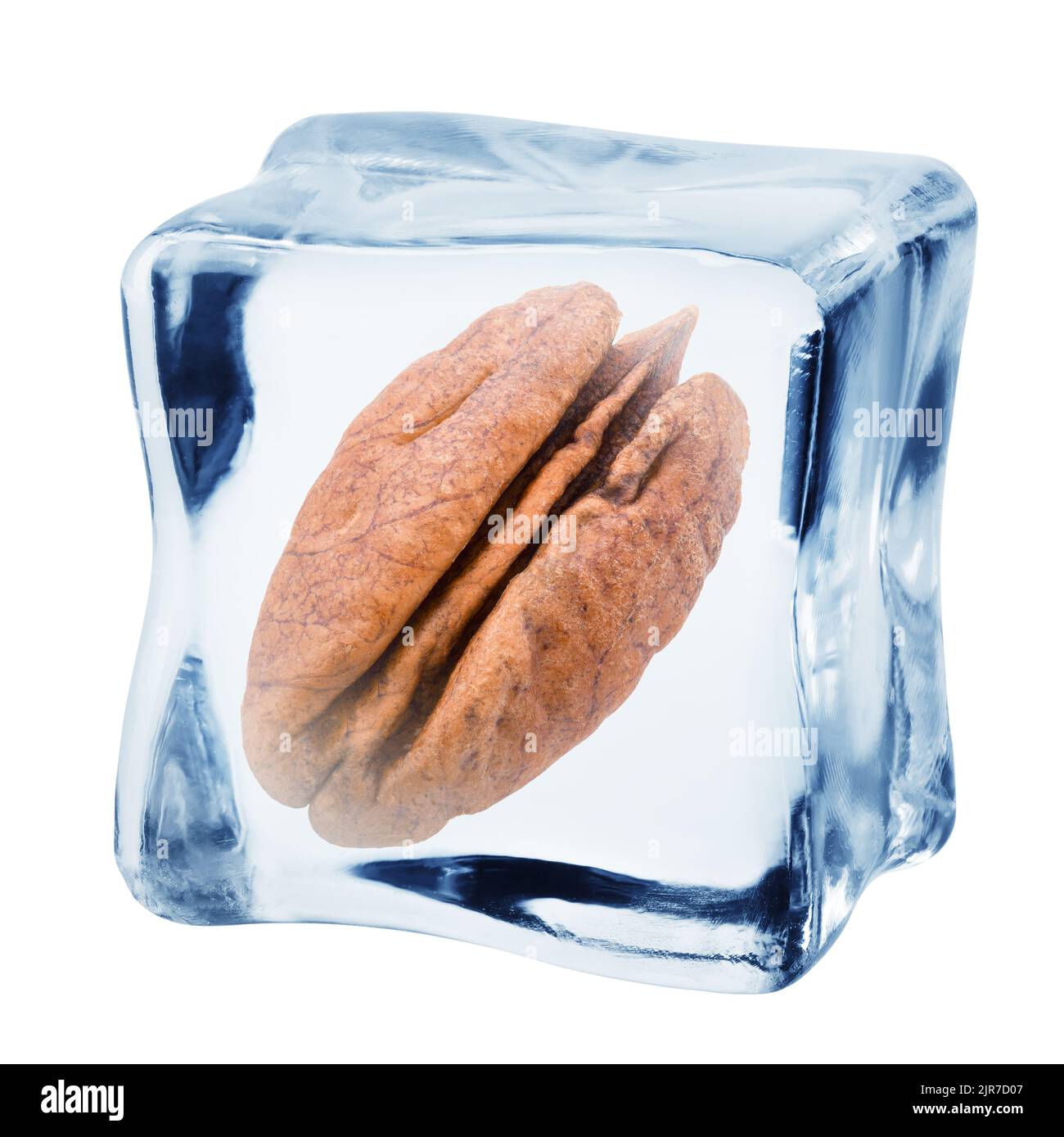 pecan nut in ice cube, isolated on white background, clipping path ...