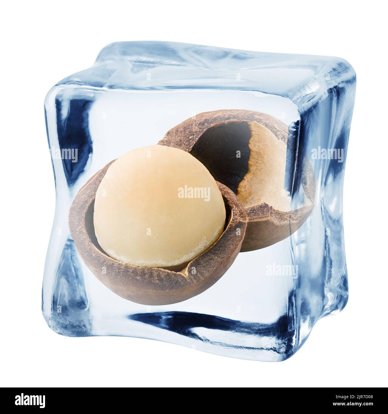 macadamia nut in ice cube, isolated on white background, clipping path ...