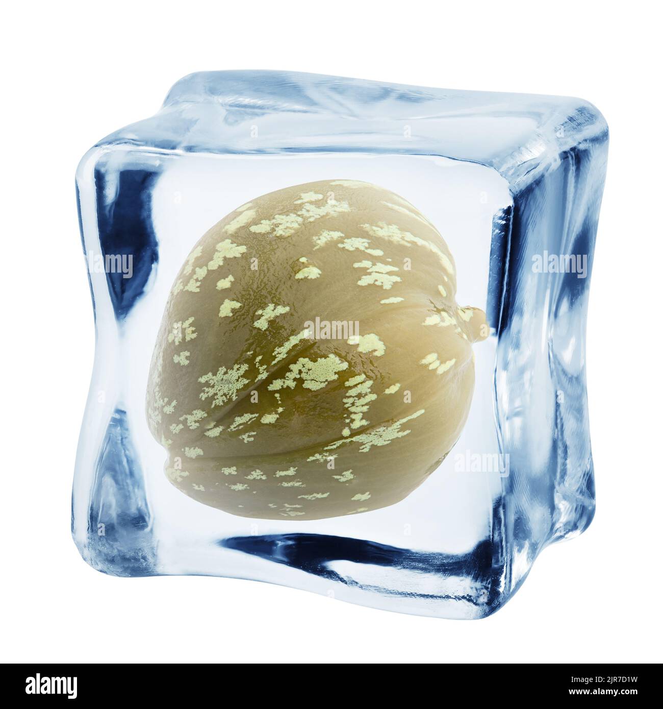 caper in ice cube, isolated on white background, clipping path, full ...