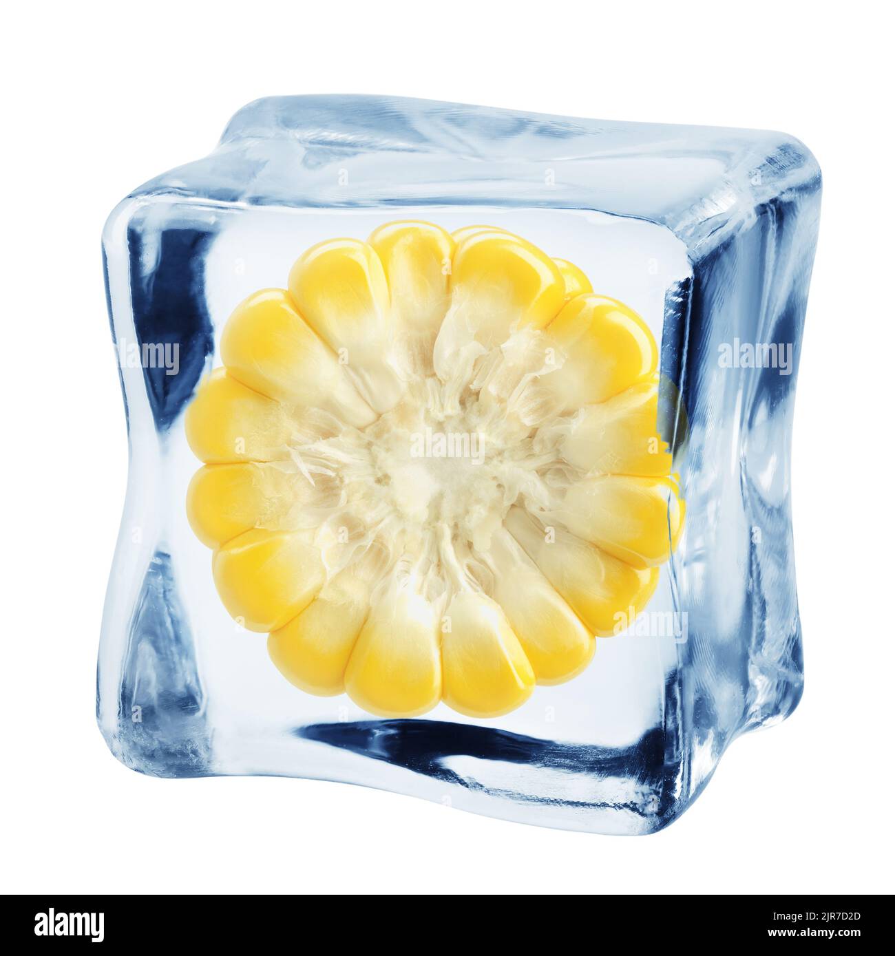 corn ear in ice cube, isolated on white background, clipping path, full ...