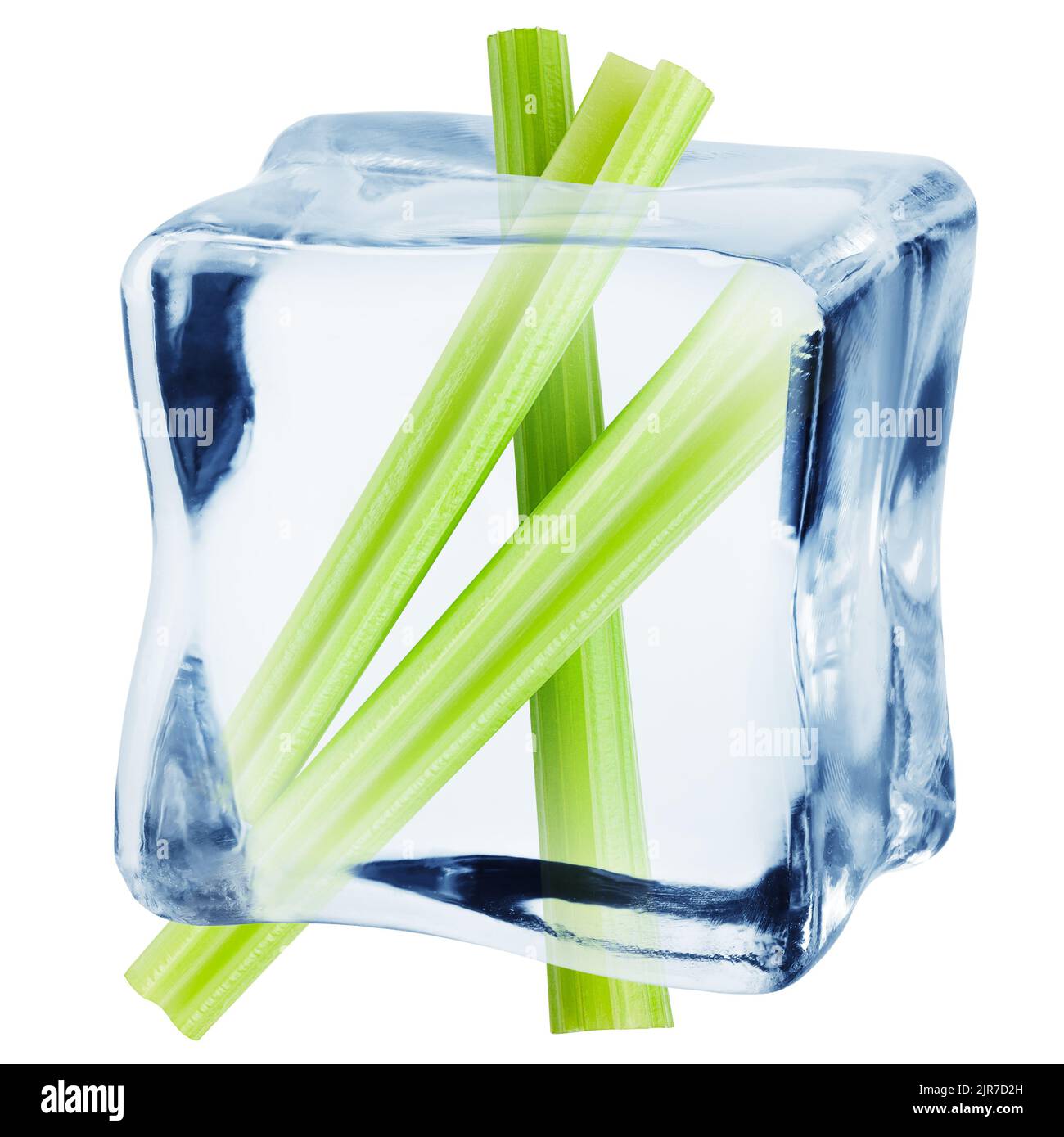 celery in ice cube, isolated on white background, clipping path, full ...