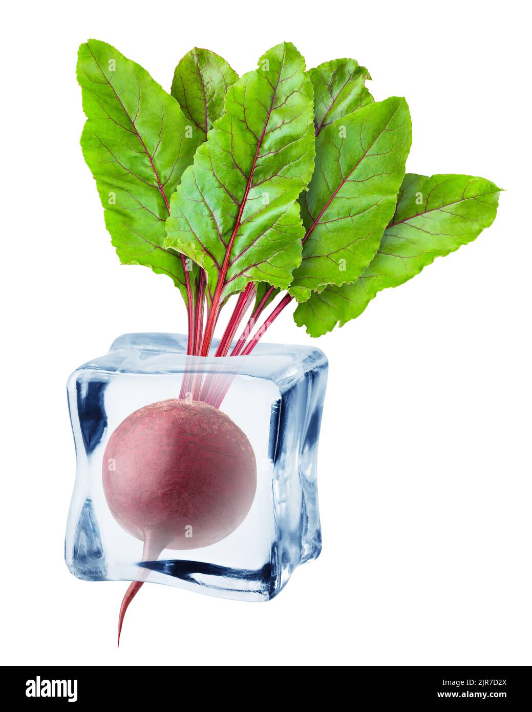 beetroot in ice cube, isolated on white background, clipping path, full ...