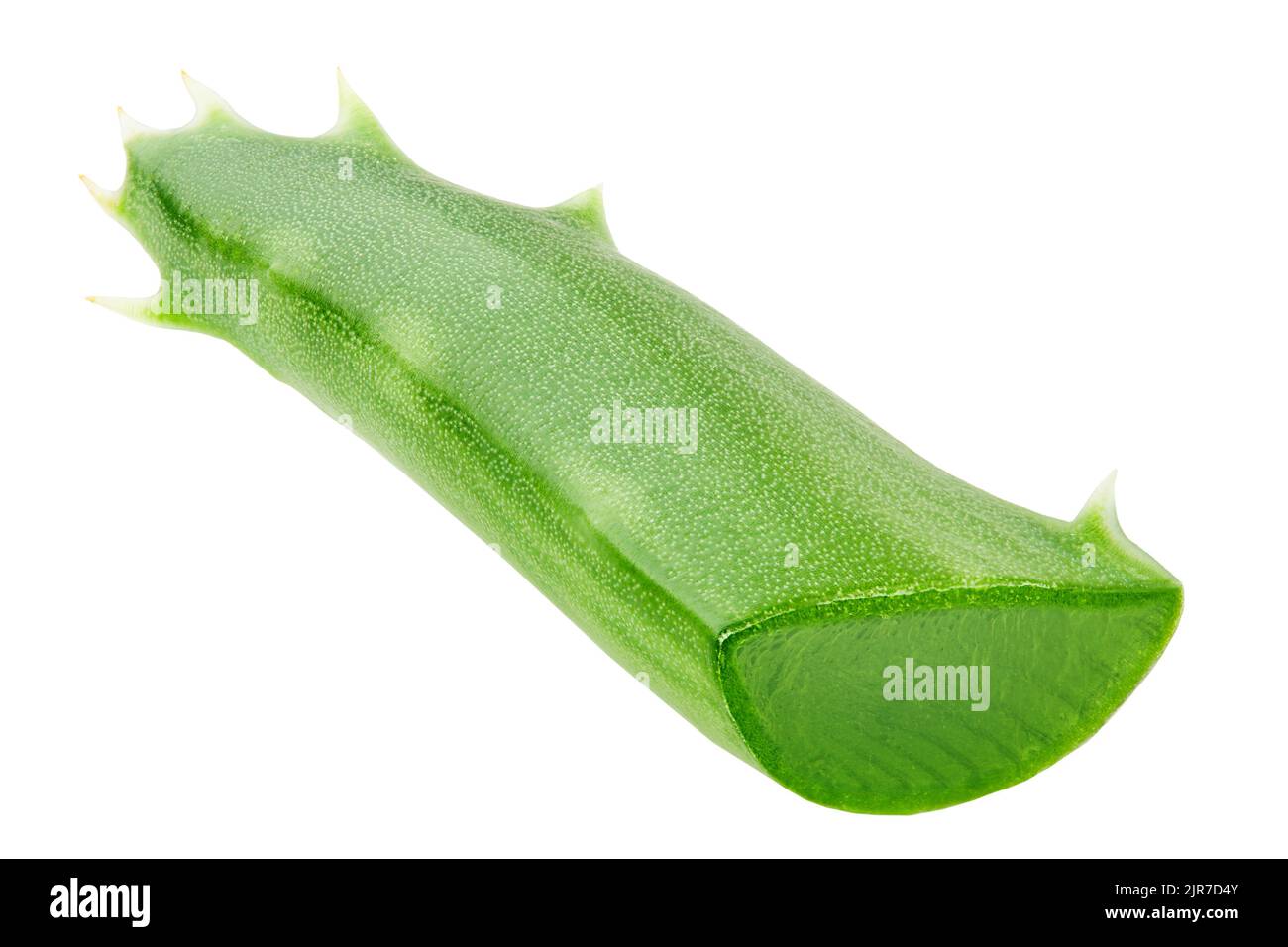Aloe vera, slice, isolated on white background, clipping path, full ...