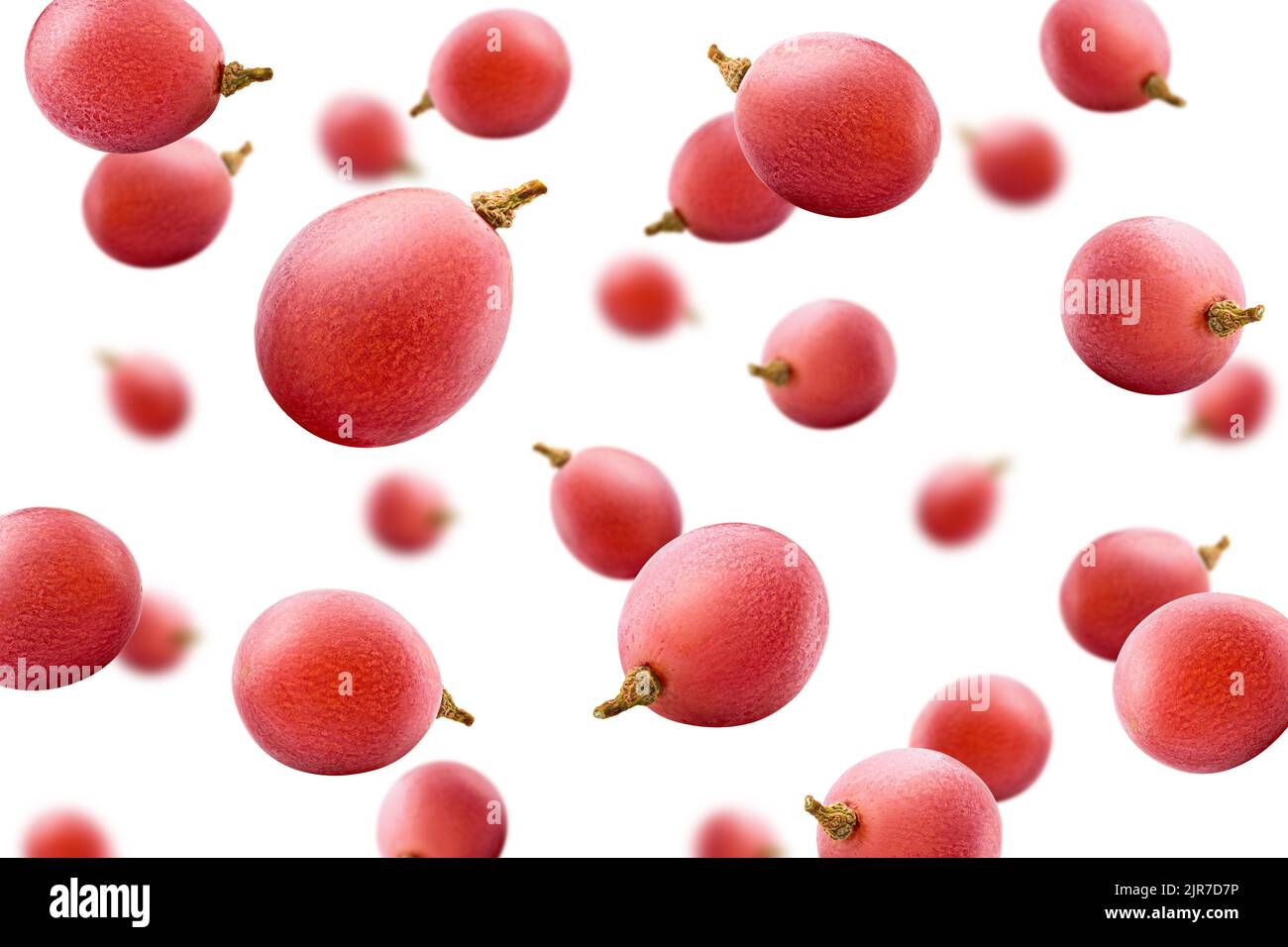 Falling red grape, isolated on white background, selective focus Stock ...