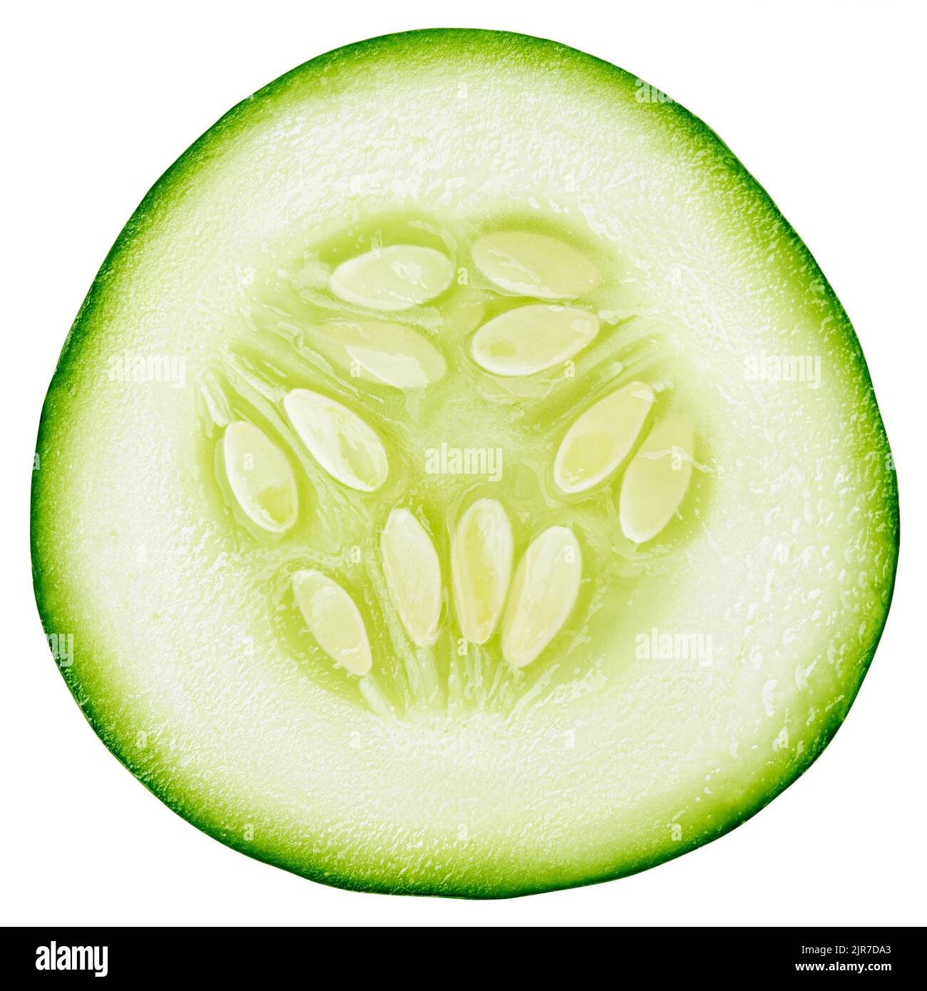 cucumber slice isolated on white background, clipping path, full depth ...