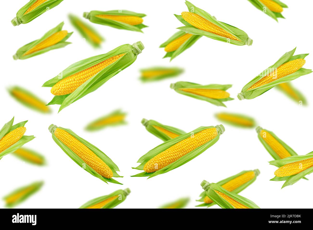 Falling corn ear, isolated on white background, selective focus Stock ...