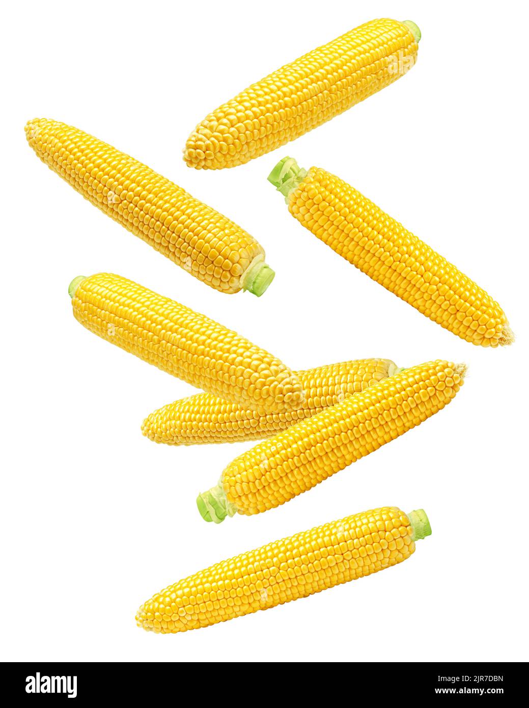 Falling corn ear, isolated on white background, clipping path, full ...