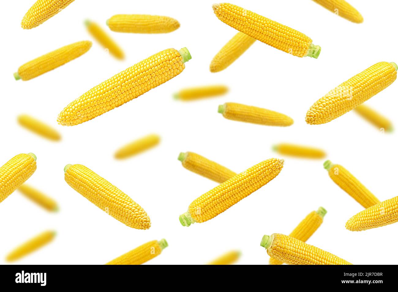 Falling corn ear, isolated on white background, selective focus Stock ...