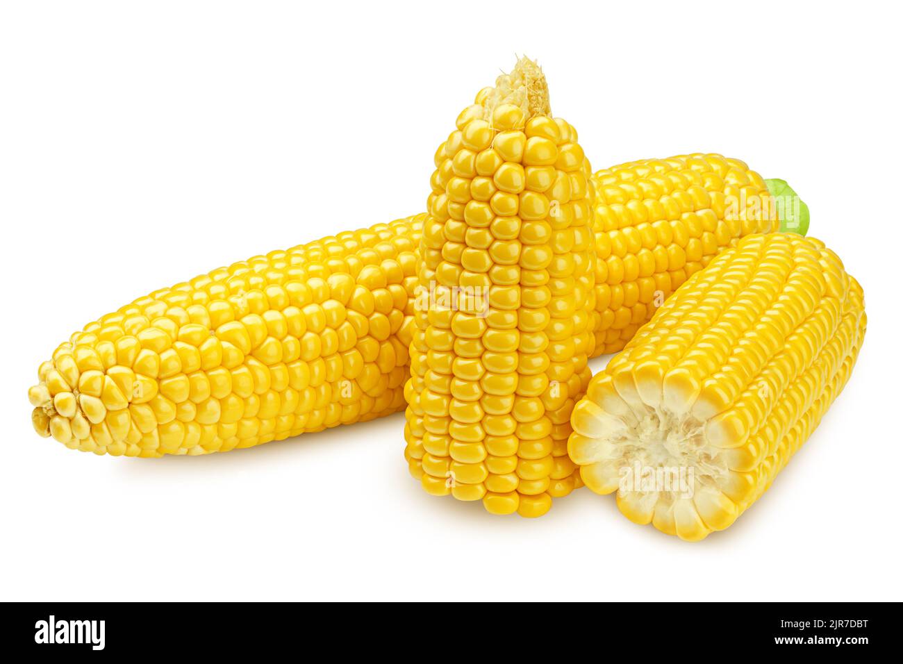 corn ear, isolated on white background, clipping path, full depth of ...