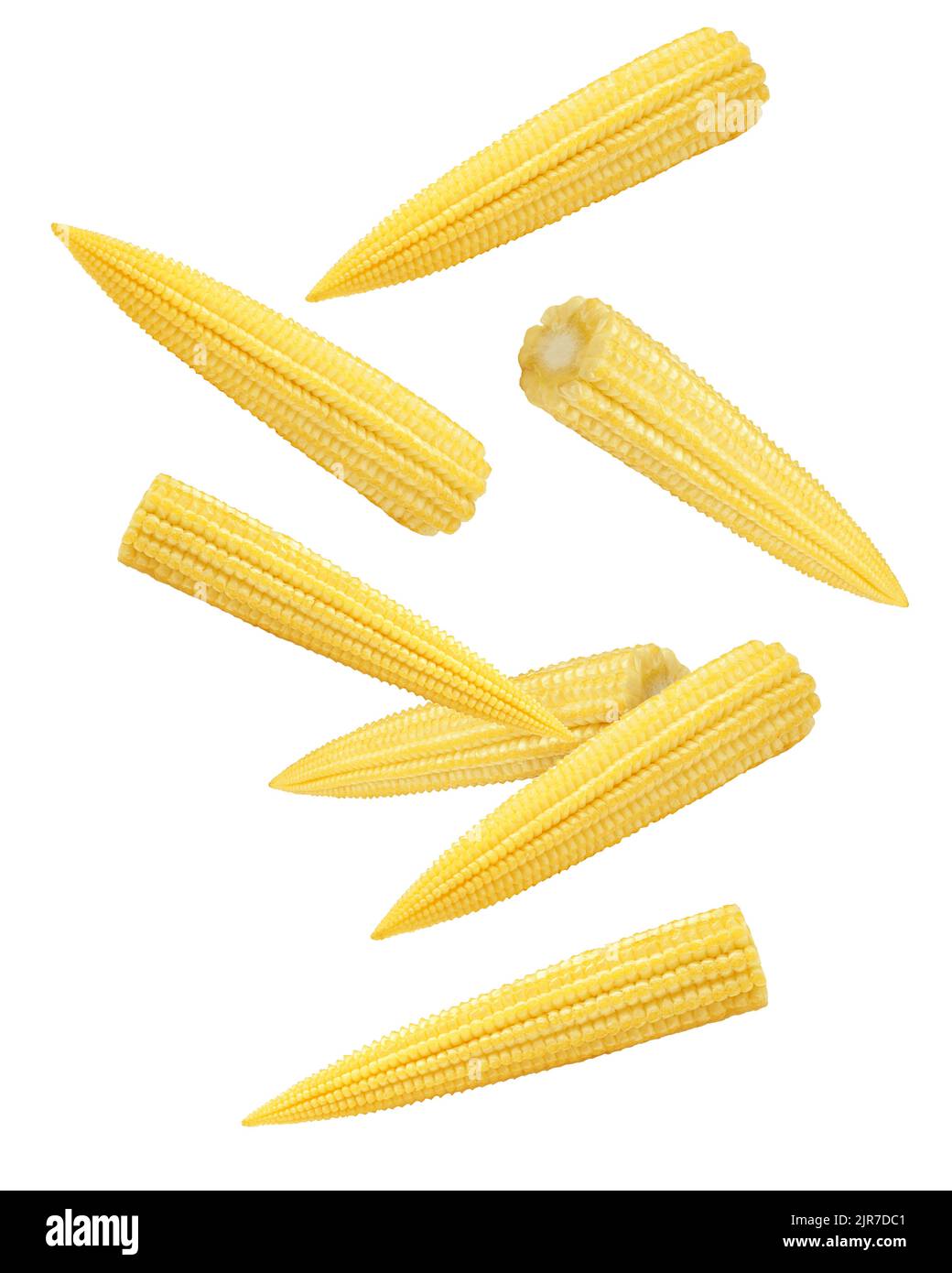 Falling baby corn, isolated on white background, clipping path, full ...