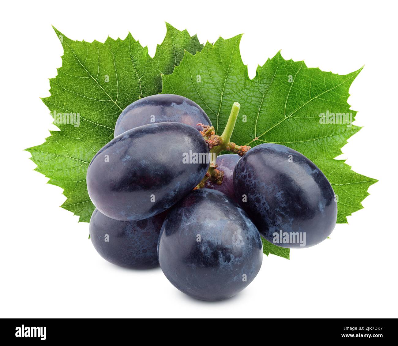 purple grape, isolated on white background, clipping path, full depth ...