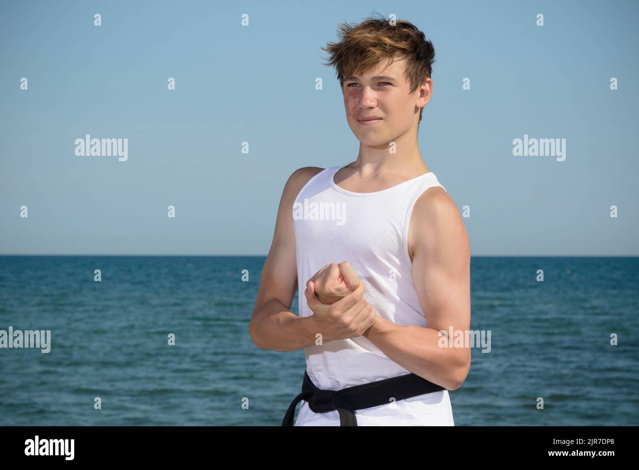 A 17 Year Old Teenage Black Belt Flexing His Muscles on A Beach Stock ...