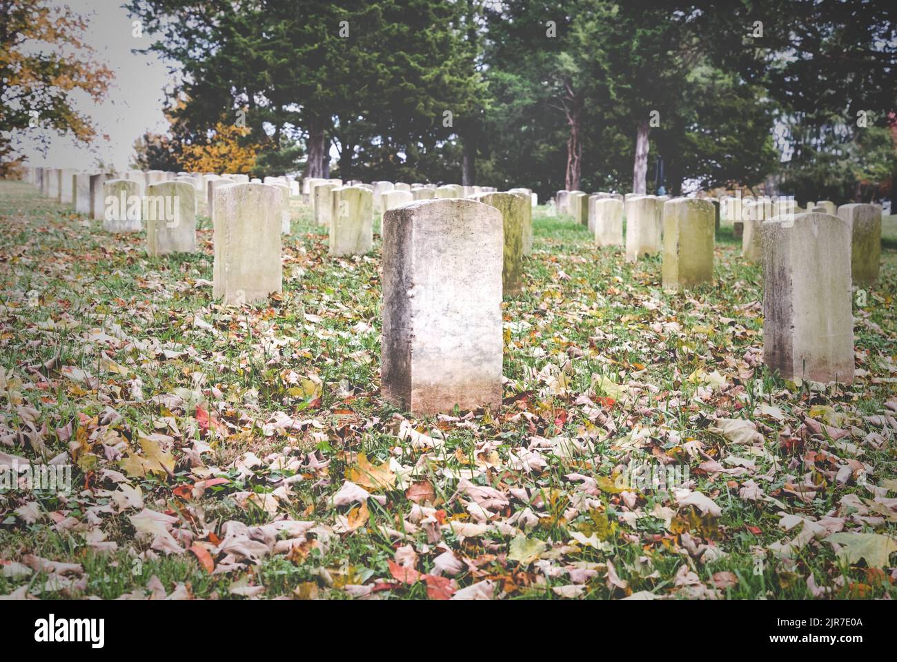 A view of Confederate grave headstones in the Stones River Battlefield ...